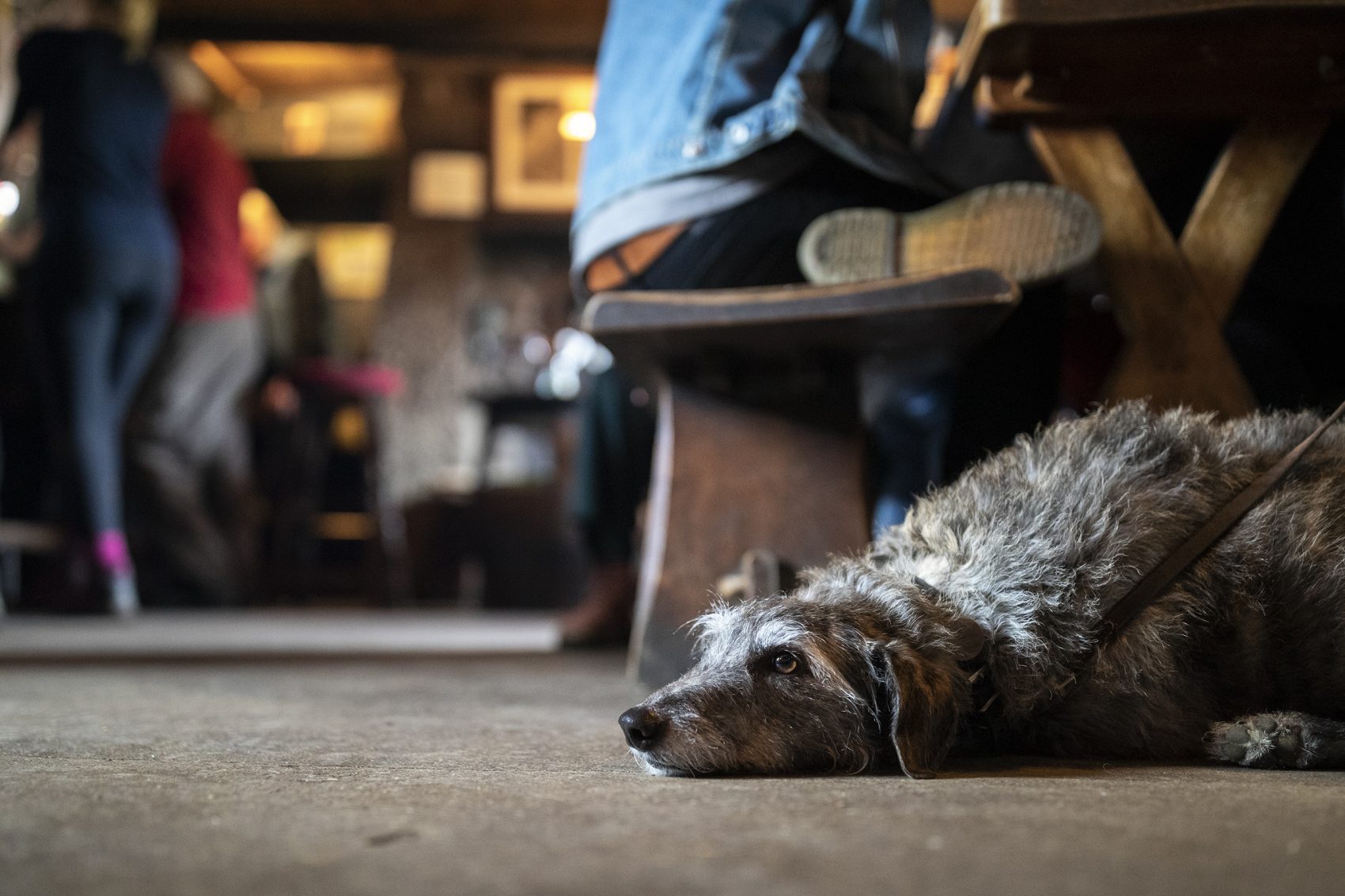 St Ives, Cornwall - emmanuel nataf
